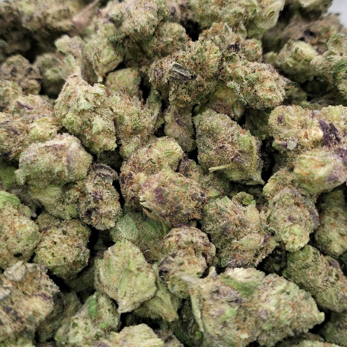 PLUTONIUM HYDROPONIQUE - Le Green Spot CBD Shop